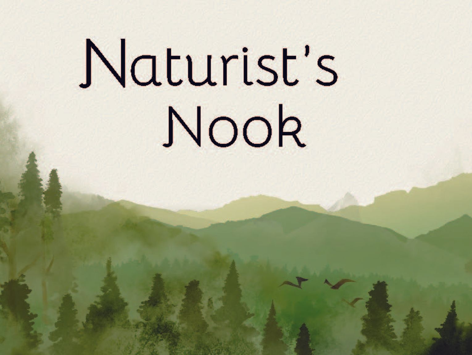 Naturist's Nook: Learn why leaves changes colors during autumn